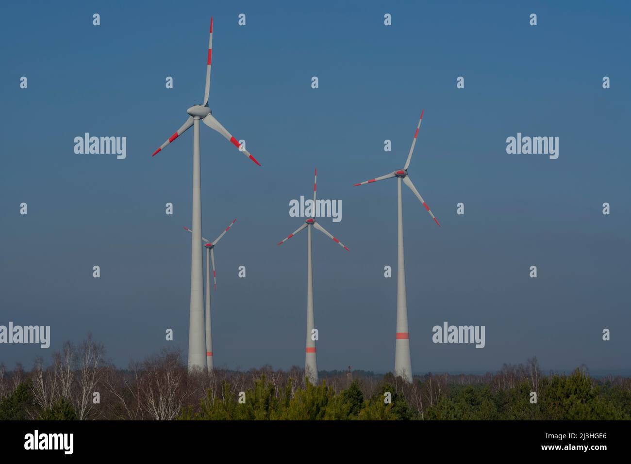 Several wind turbines between birch and pine trees in winter hi-res ...