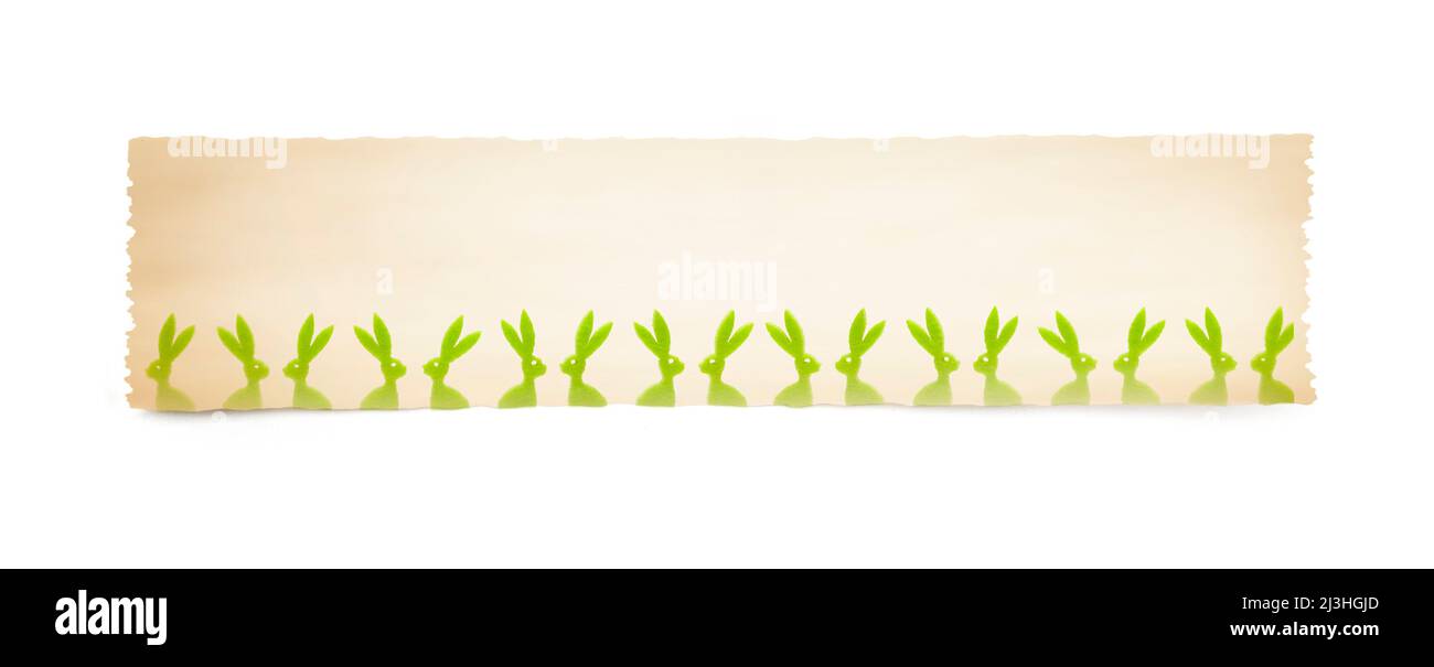 Bunny decoration hi-res stock photography and images - Alamy