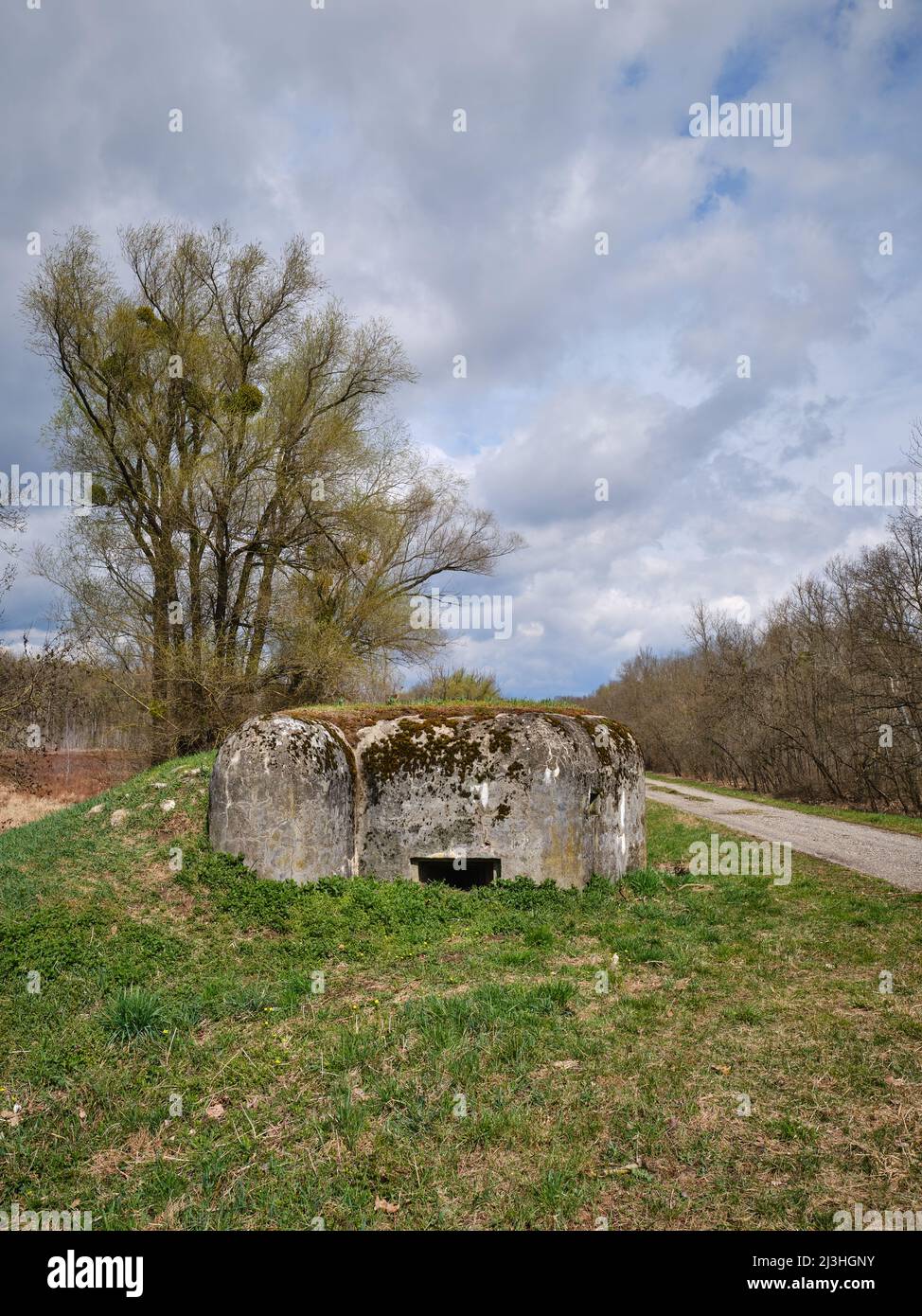 Concrete bunker from World War II, Sekule, Slovakia Stock Photo - Alamy