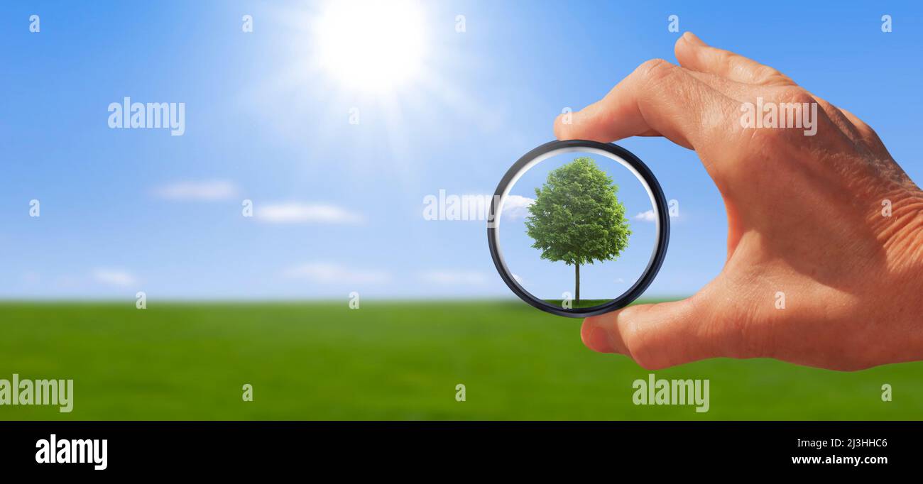 View through a glass with focus on a green tree hi-res stock ...