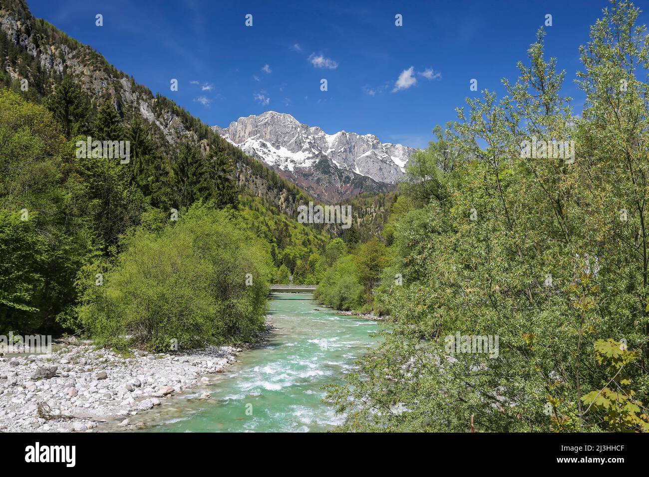 River course of the Salzach in Berchtesgaden Stock Photo - Alamy