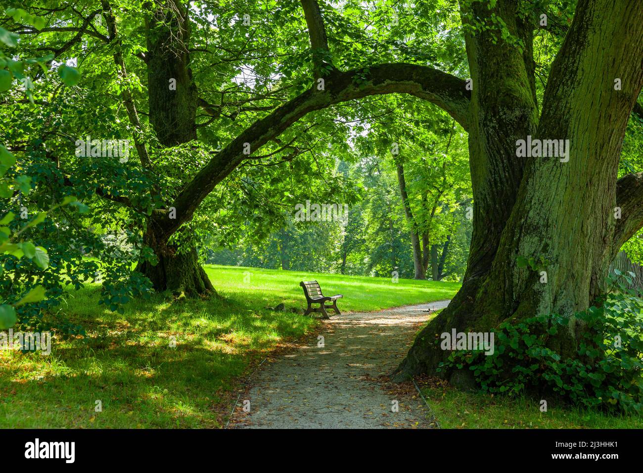 Beautiful park with a bench hi-res stock photography and images - Alamy
