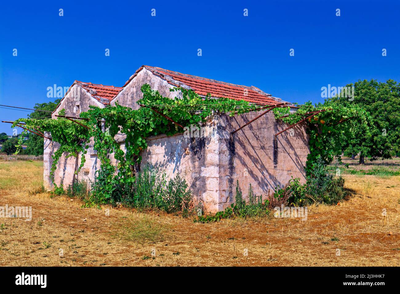 Agricultural buildings hi-res stock photography and images - Alamy