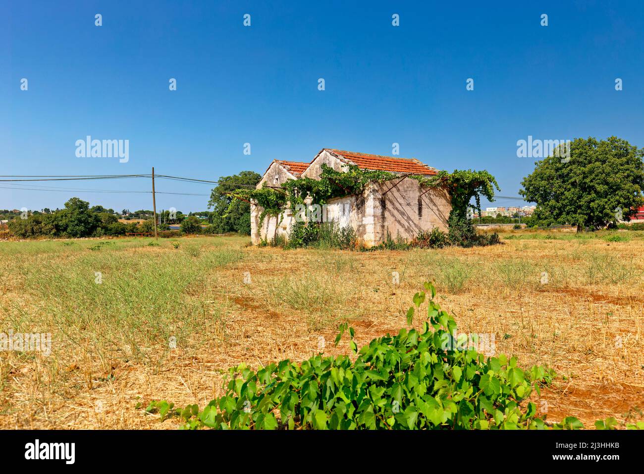 Agricultural buildings hi-res stock photography and images - Alamy