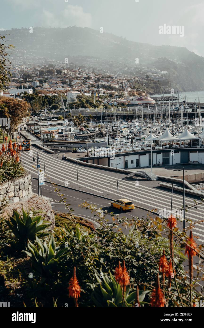View from Santa Catarina Park on the harbor promenade, Funchal, Madeira ...