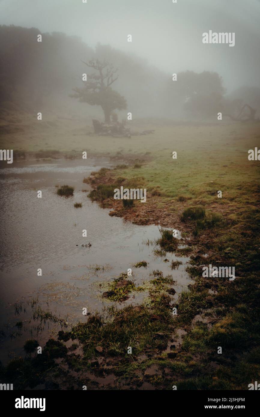 Lagoa do fanal hi-res stock photography and images - Alamy