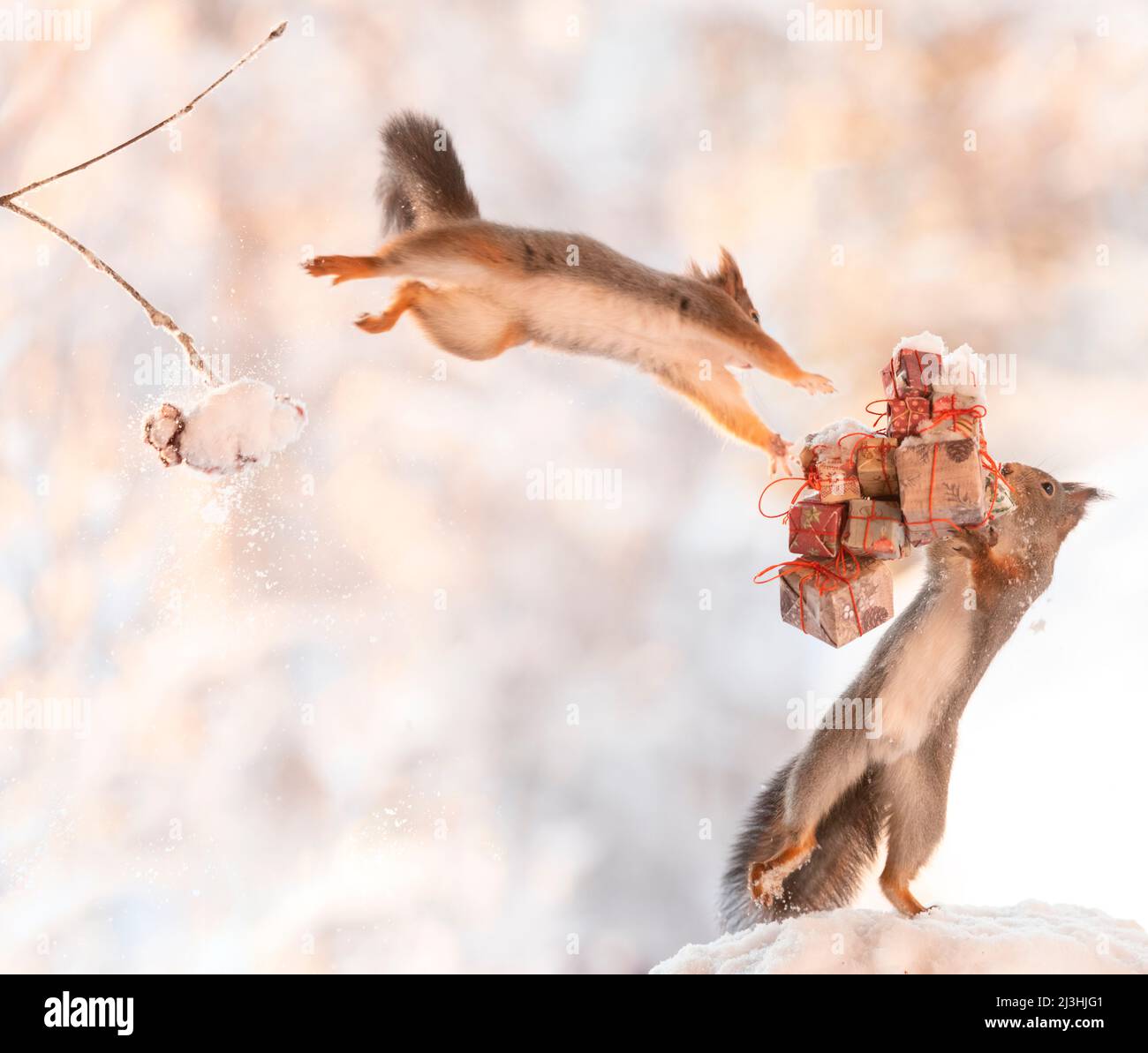 Birthday lift hi-res stock photography and images - Alamy