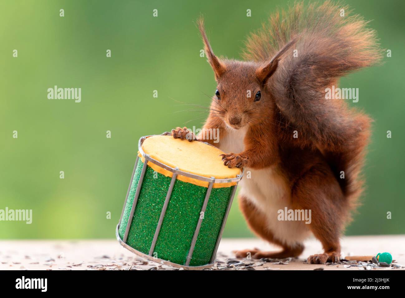 Holding drum hi-res stock photography and images - Alamy