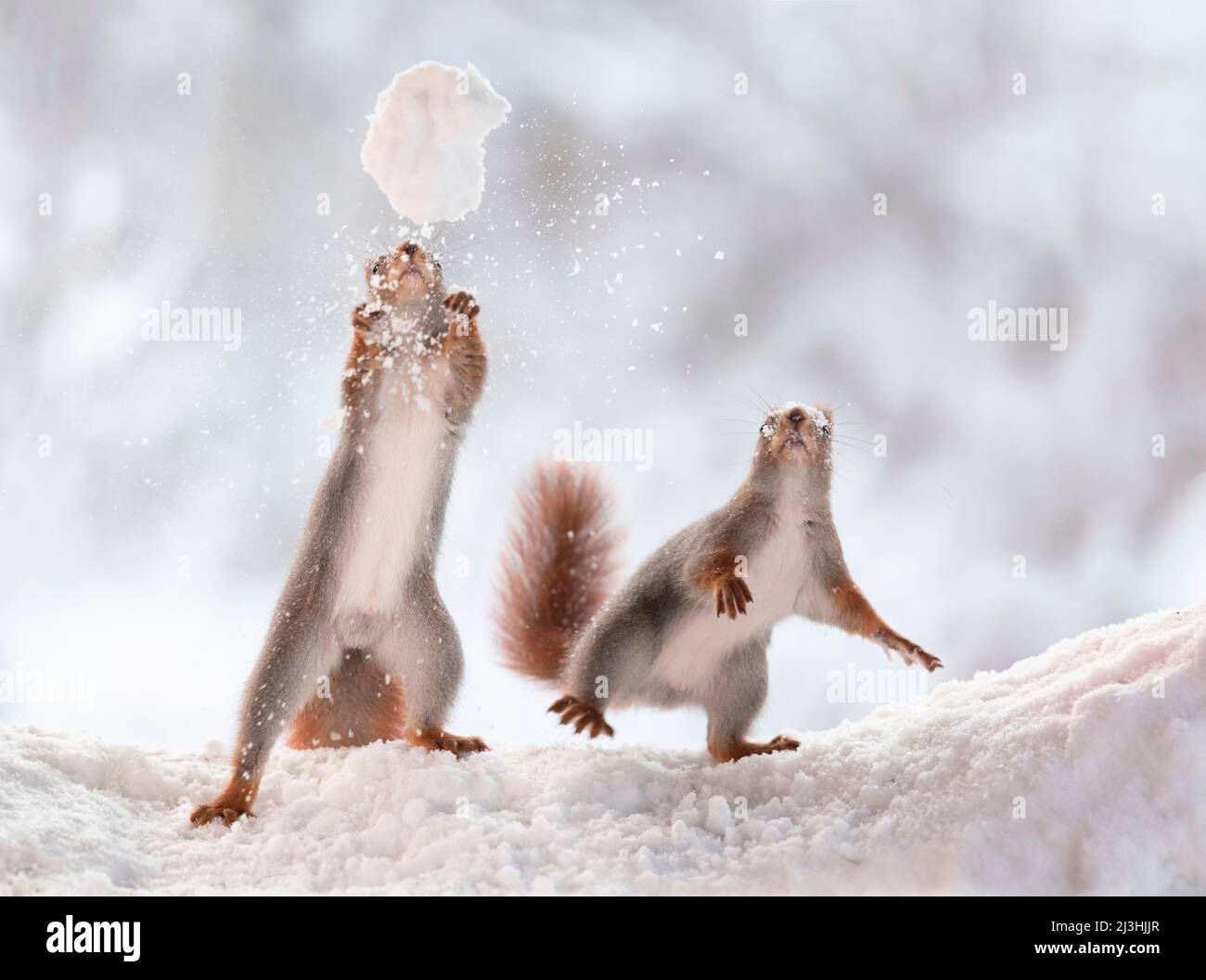 Exploding snow hi-res stock photography and images - Alamy