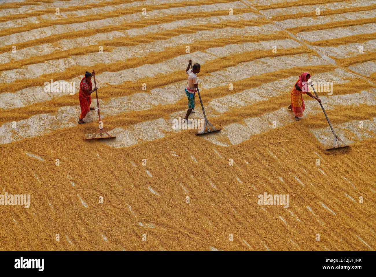 Creation agriculture hi-res stock photography and images - Alamy