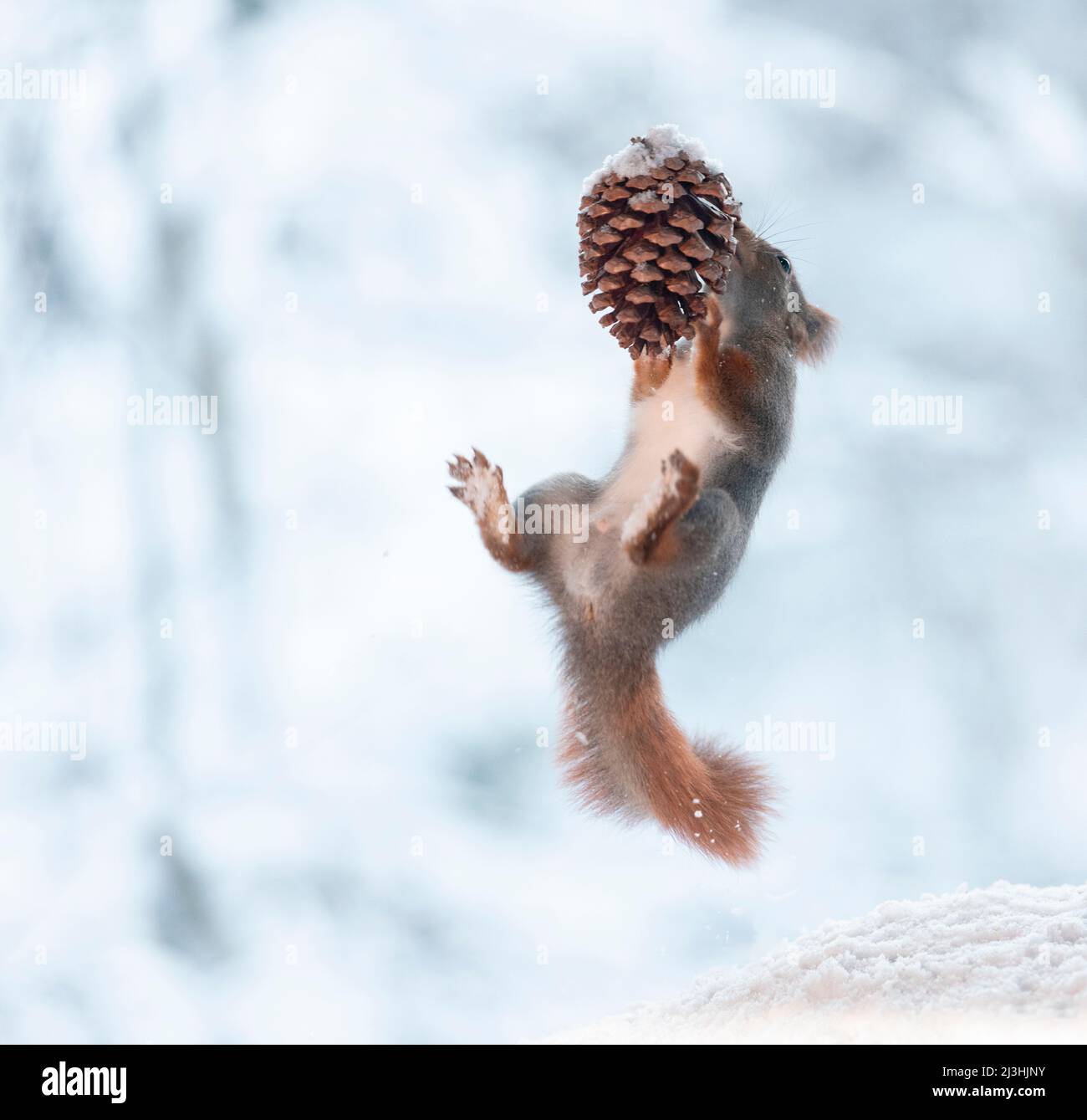 Holding fod hi-res stock photography and images - Alamy