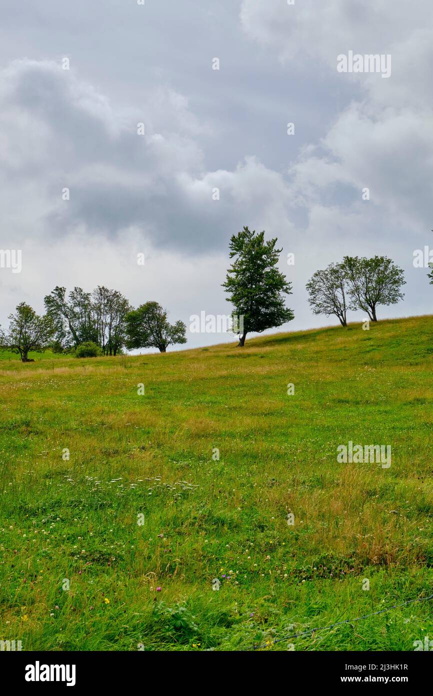 Landscape at Mathesberg in the High Rhön in the Rhön Biosphere Reserve ...