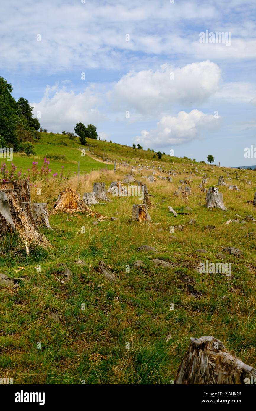 Landscape at Mathesberg in the High Rhön in the Rhön Biosphere Reserve ...