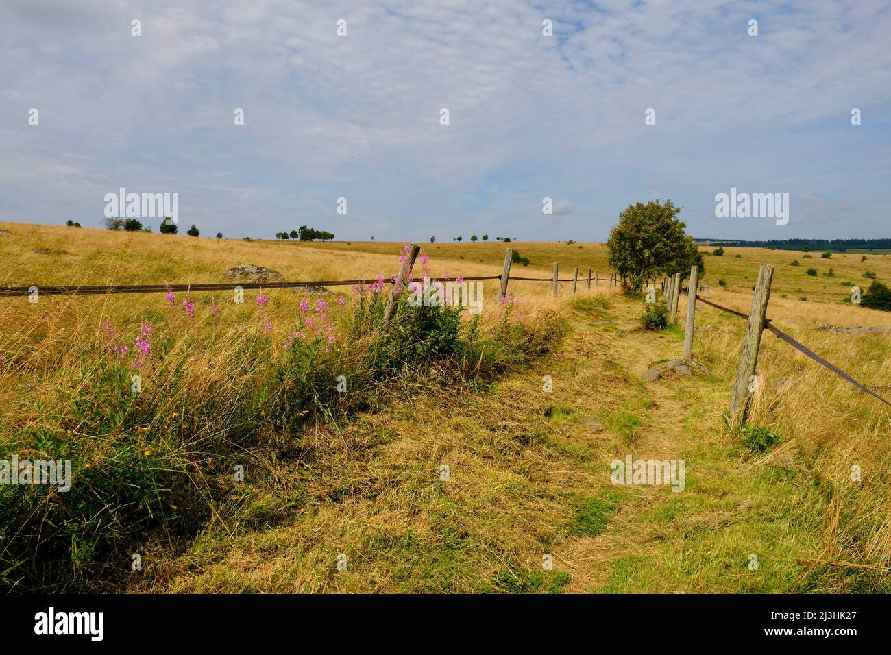 Landscape at Mathesberg in the High Rhön in the Rhön Biosphere Reserve ...