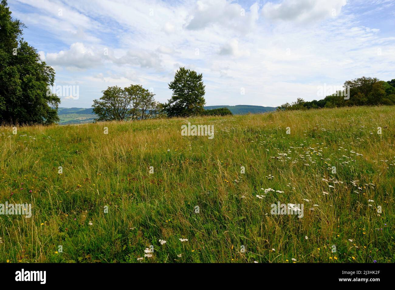 Landscape at Mathesberg in the High Rhön in the Rhön Biosphere Reserve ...