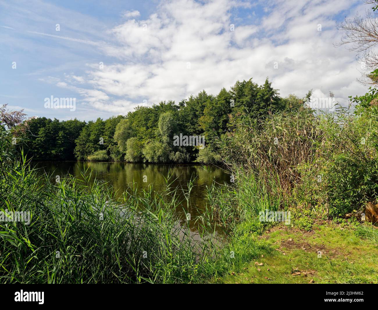 Sander quarry ponds in the Mainaue nature reserve near Augsfeld ...