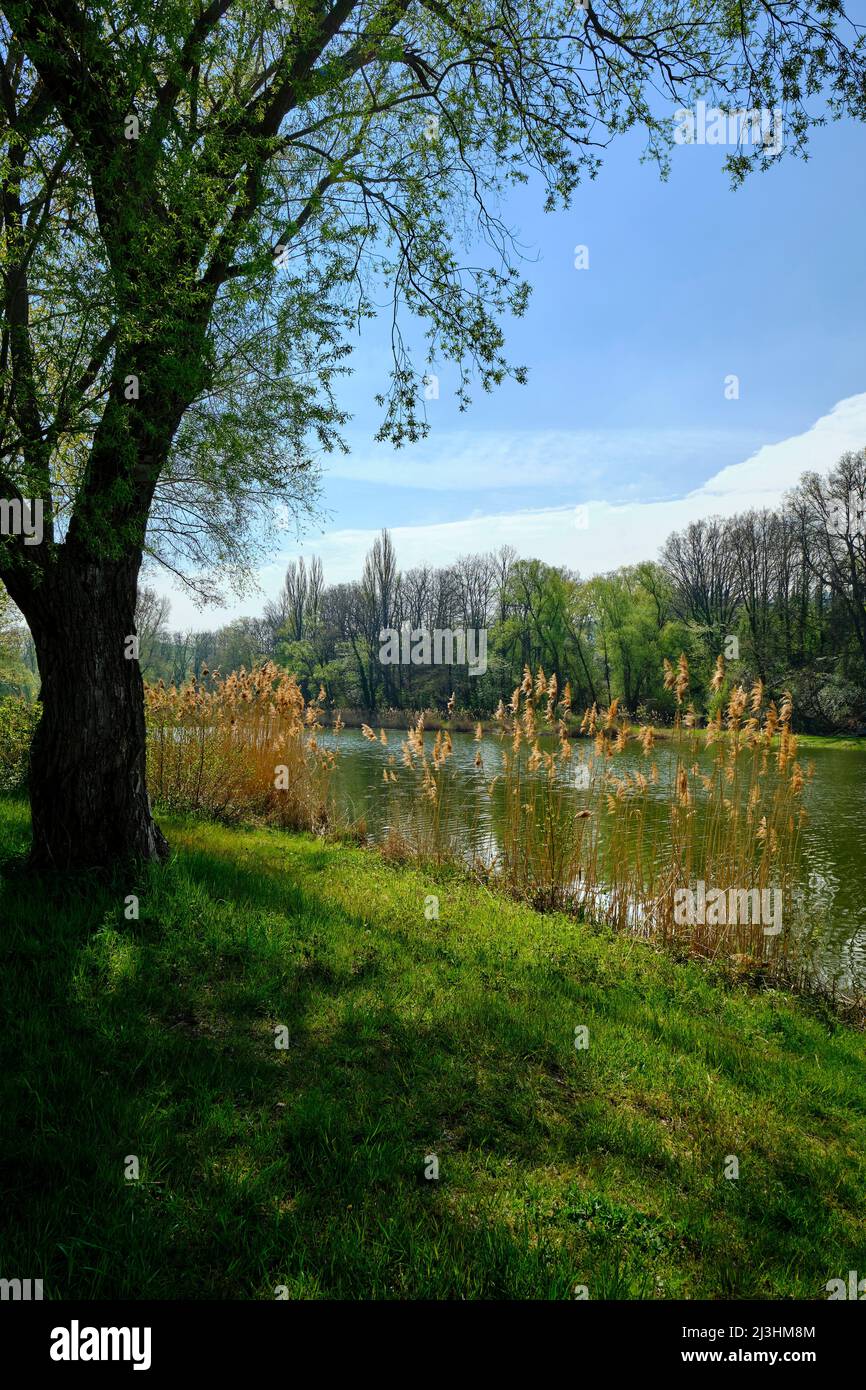 Altmain nature reserve and sandy grassland near Limbach, Hassberge ...