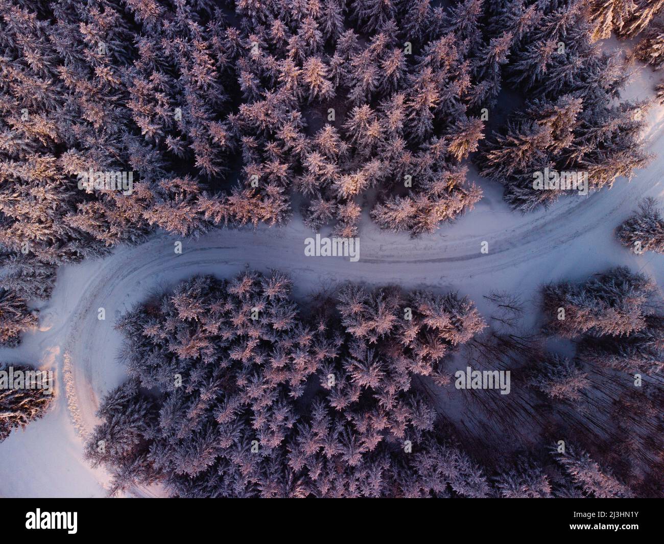 Winding road trees hi-res stock photography and images - Alamy