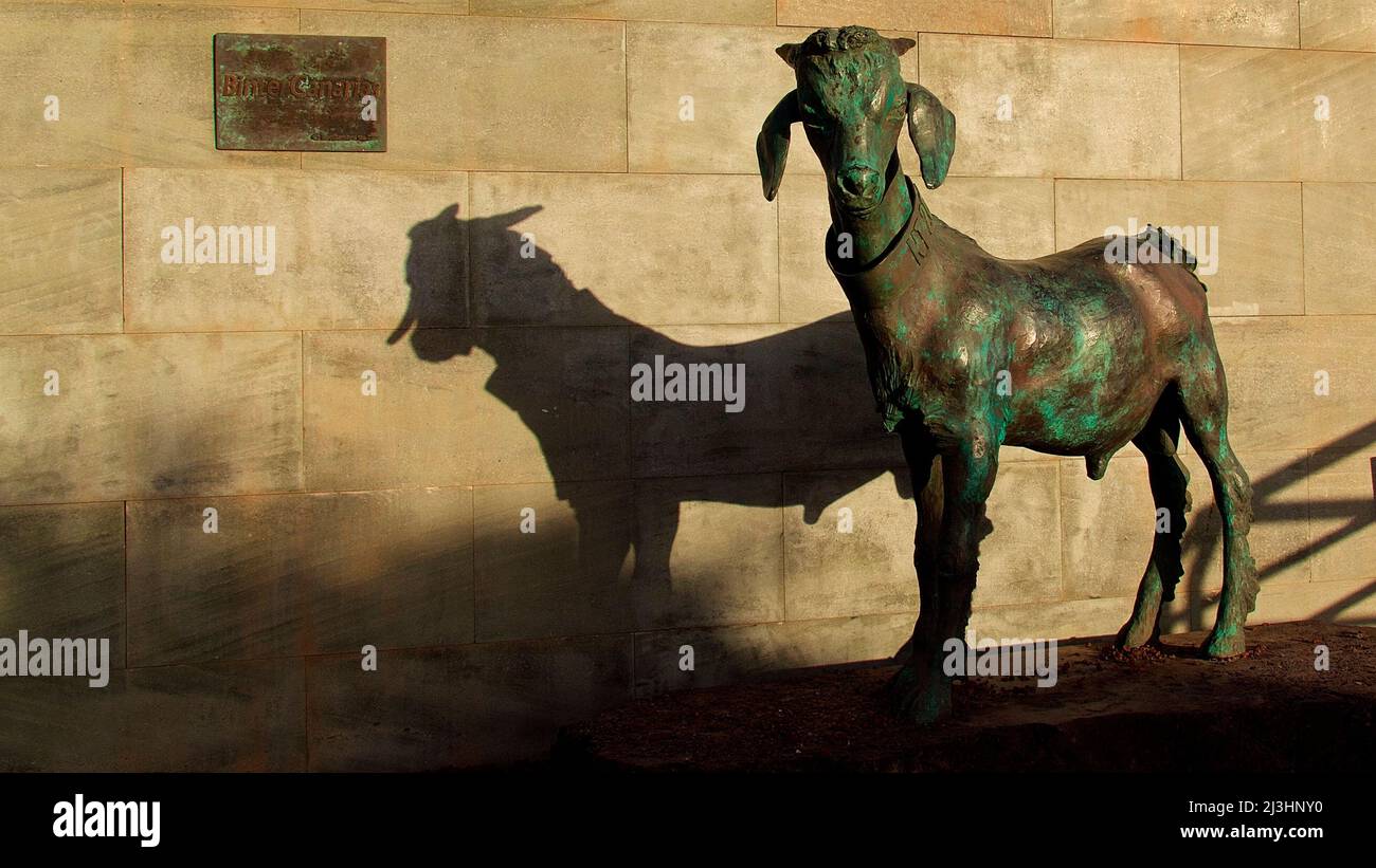 Shadow of goat on the wall hi-res stock photography and images - Alamy