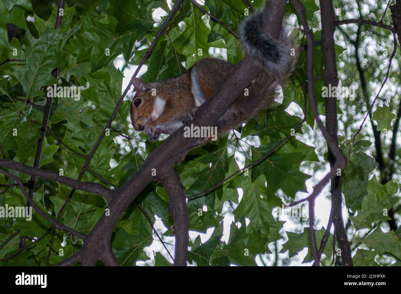 Central Park West, historic district, New York City, NY, USA, eastern ...