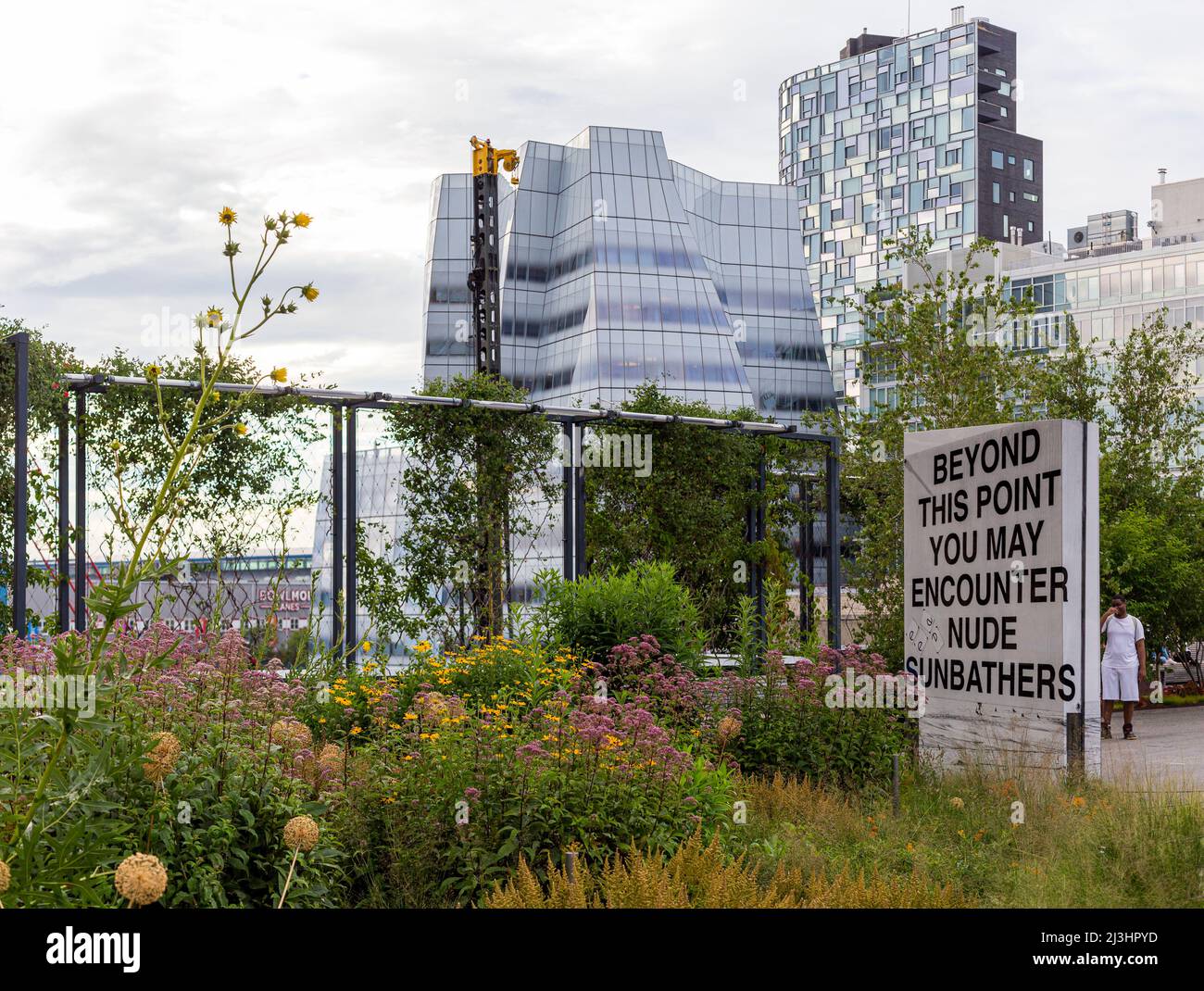 Chelsea, New York City, NY, USA, Architect Frank Gehry's white glass ...