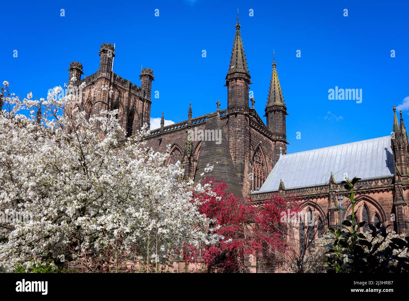 Chester uk cathedral blossom hi-res stock photography and images - Alamy