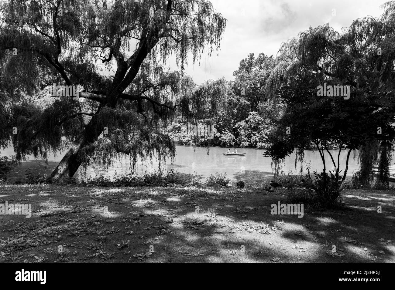 The Lake Viewing Area in Central Park, New York City, NY, USA, Idyllic ...