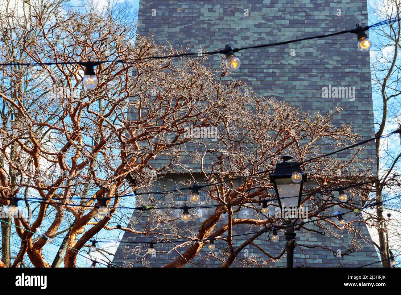 View of Chester cathedral bell tower and festoon bulbs, Belltower Walk ...