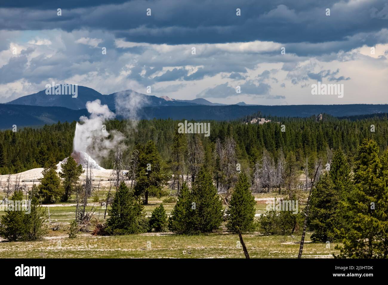 White Dome Geyser in the Lower Geyser Basin of Yellowstone National ...