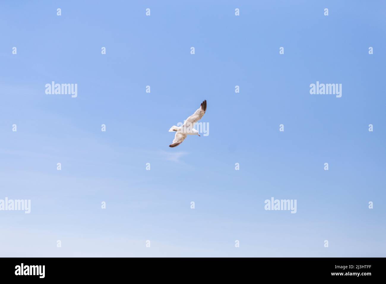 Flying through air hi-res stock photography and images - Alamy