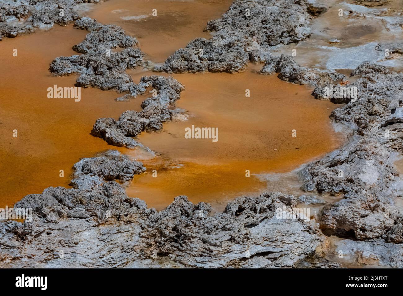 Thermophiles at Great Fountain Geyser in Yellowstone National Park, USA ...
