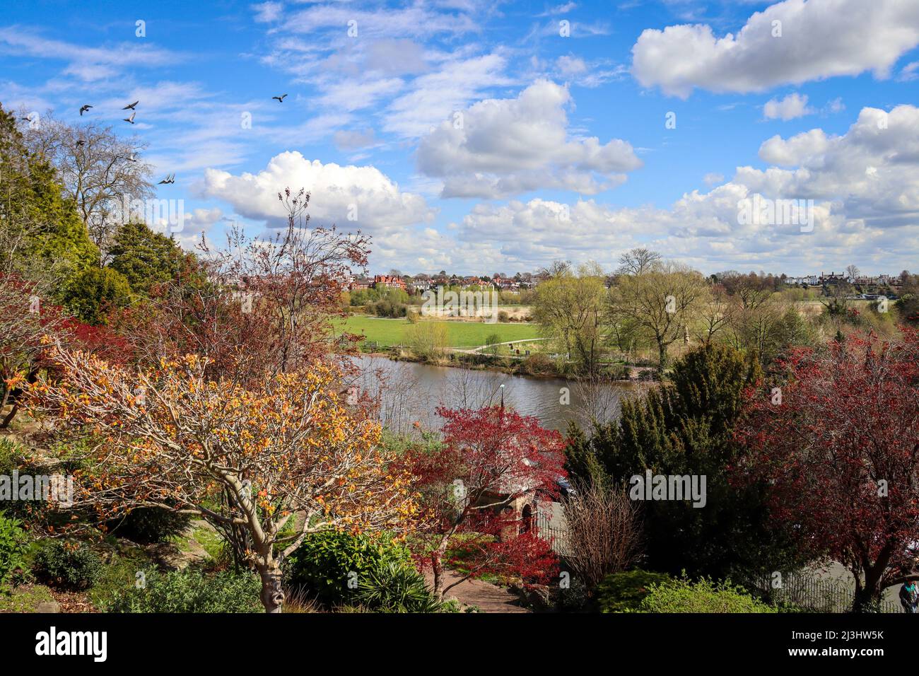 Chester Meadows, from across the River Dee Stock Photo - Alamy