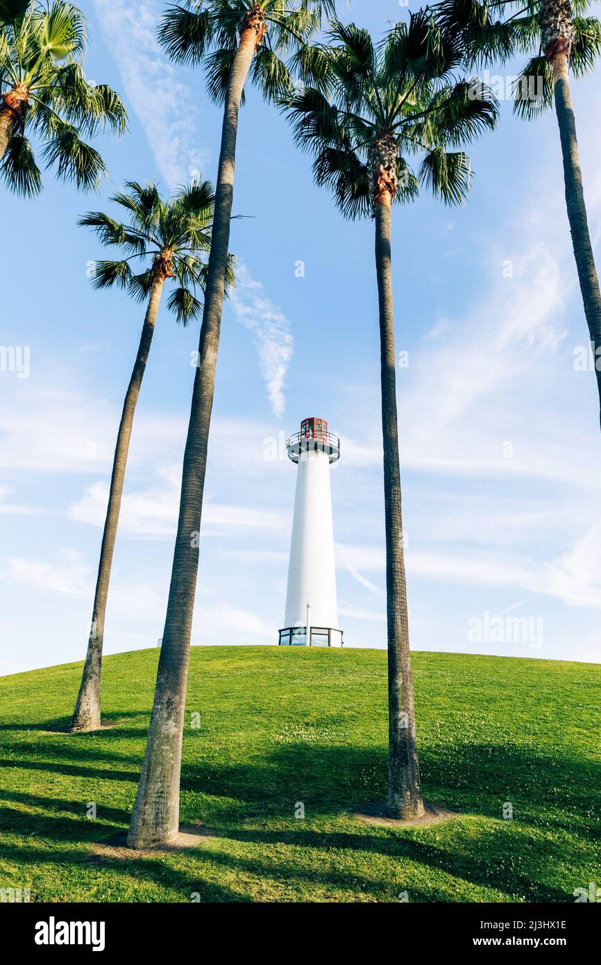Marina green park long beach hi-res stock photography and images - Alamy