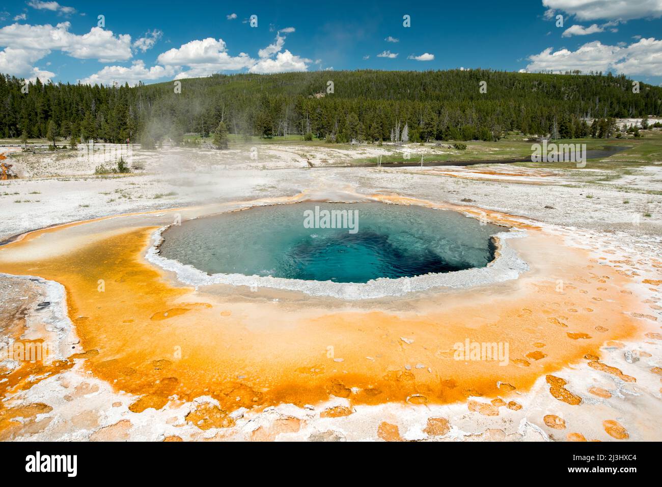 Crested Pool in Yellowstone National Park Stock Photo - Alamy