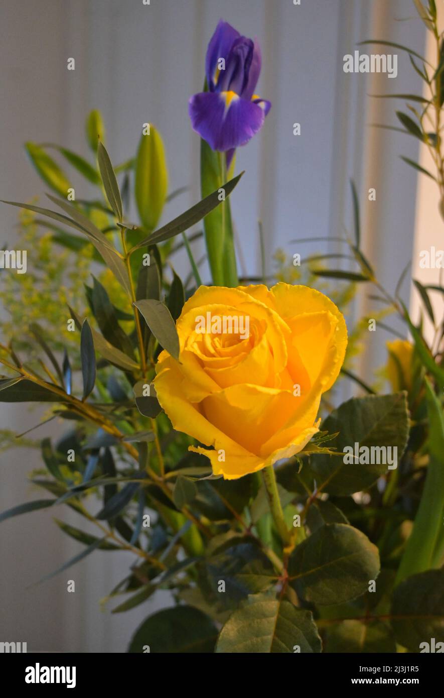 Bouquet of lillies hi-res stock photography and images - Alamy