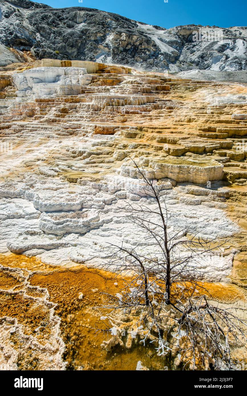 Travertine terraces montana hi-res stock photography and images - Alamy