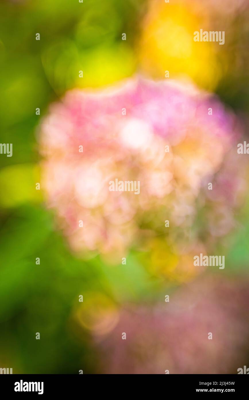 Faint background hi-res stock photography and images - Alamy