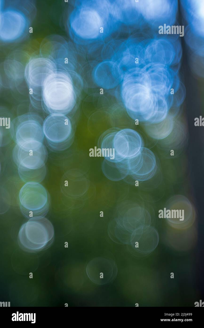 Abstract background unfocused lights natural hi-res stock photography ...