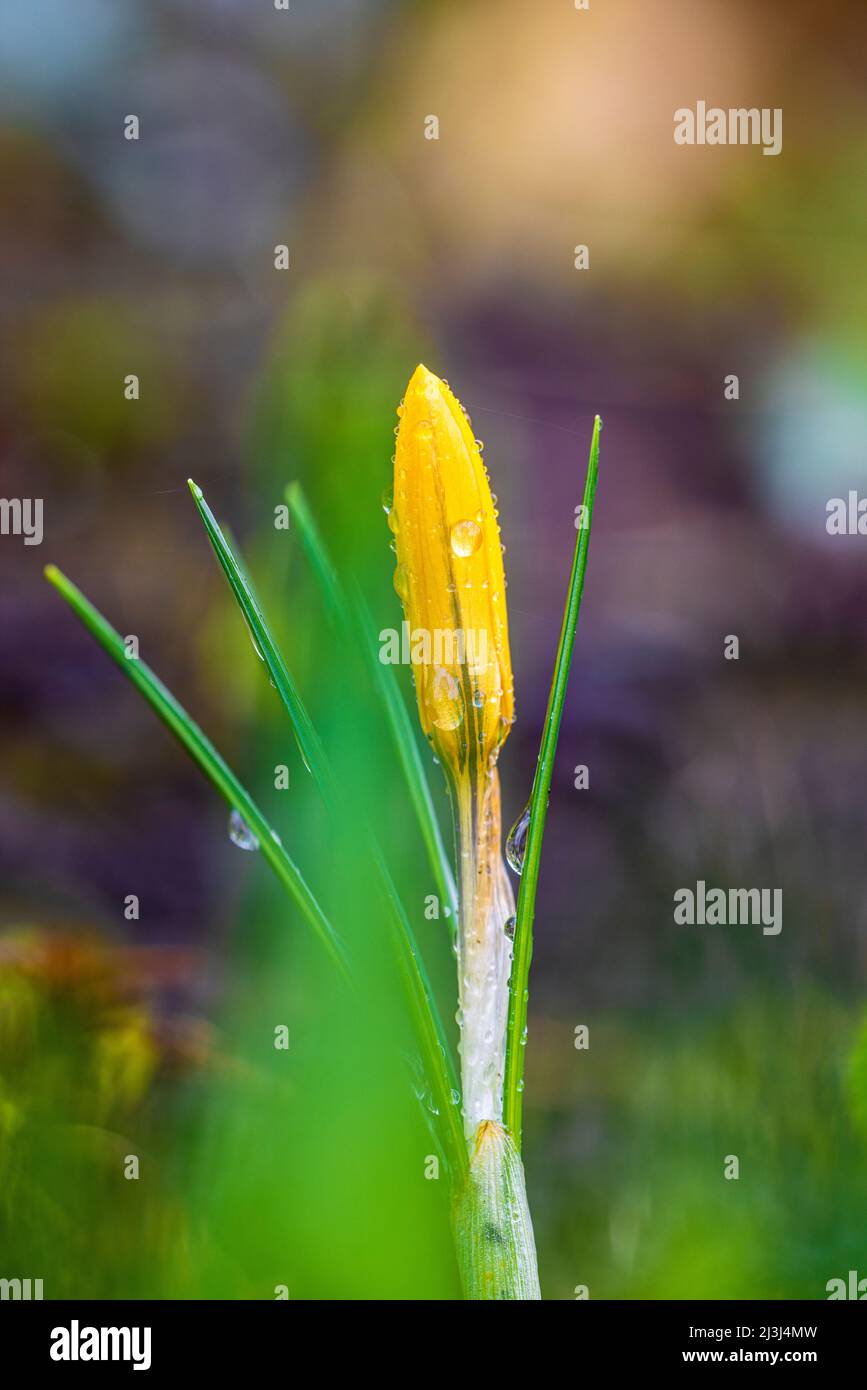 Messenger rope hi-res stock photography and images - Alamy