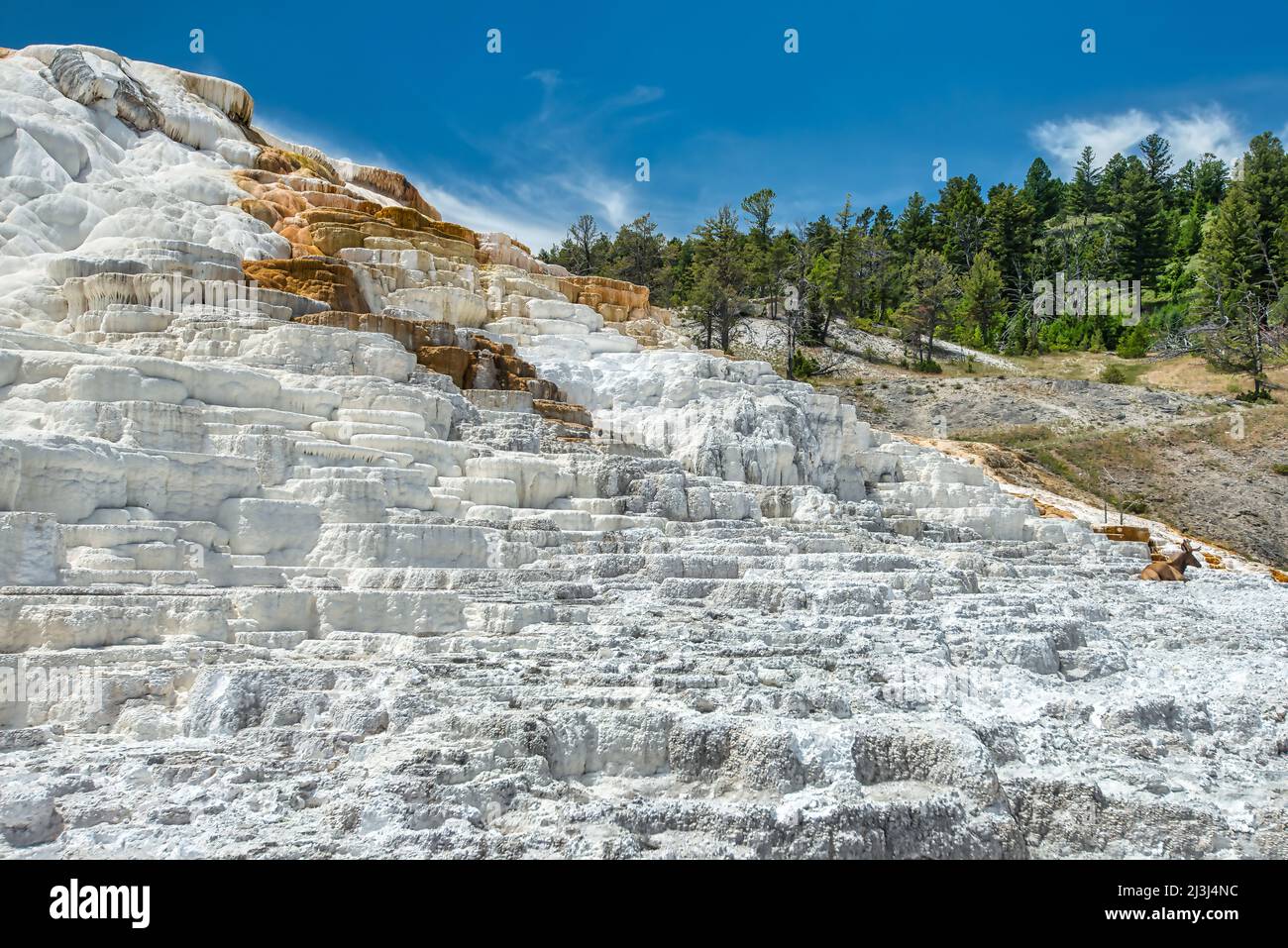 Travertine sediment hi-res stock photography and images - Alamy