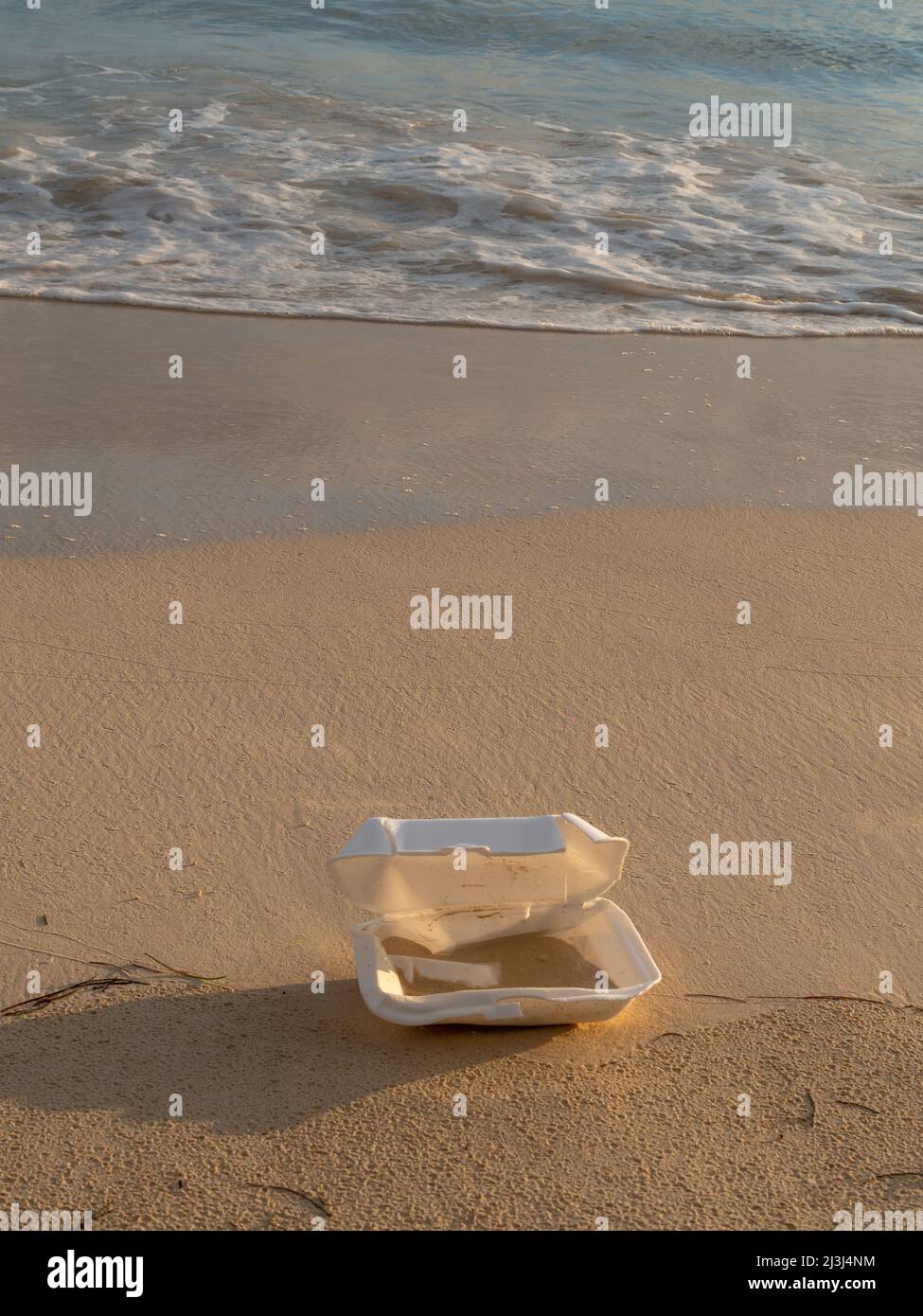 Disposable plate hi-res stock photography and images - Alamy
