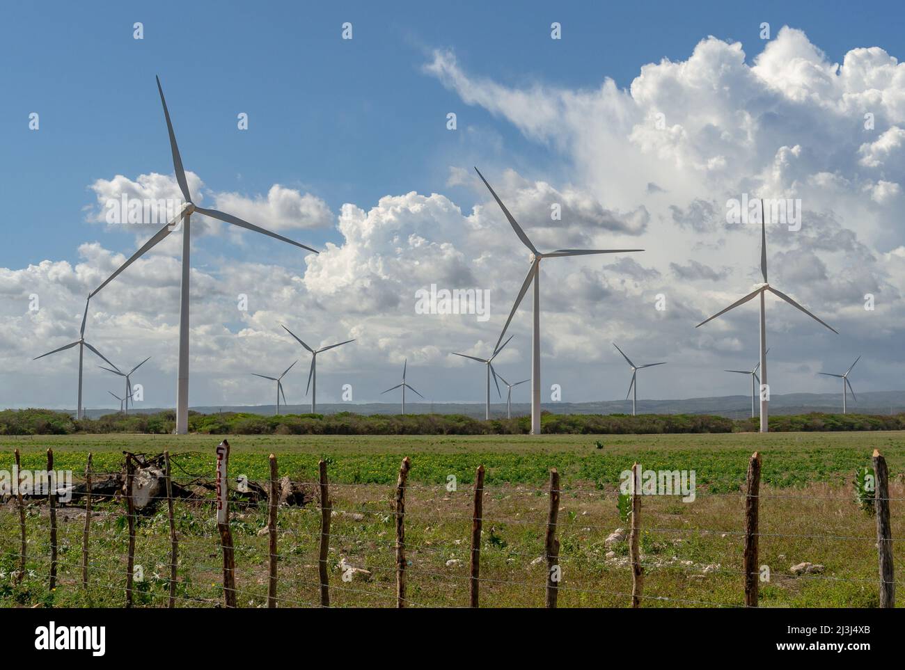 Wind turbines, Wind energy in a wind farm in the Dominican Republic ...