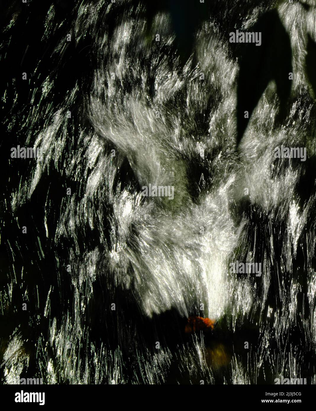 Europe, Germany, Hesse, hinterland, nature park Lahn-Dill-Bergland ...