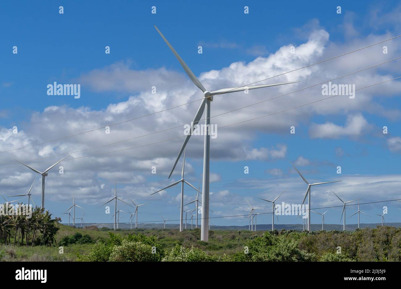 Wind turbines, Wind energy in a wind farm in the Dominican Republic ...