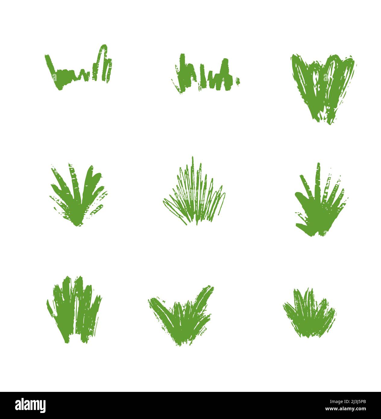 Set of green grass, sketch. Fresh spring green grass. Vector ...