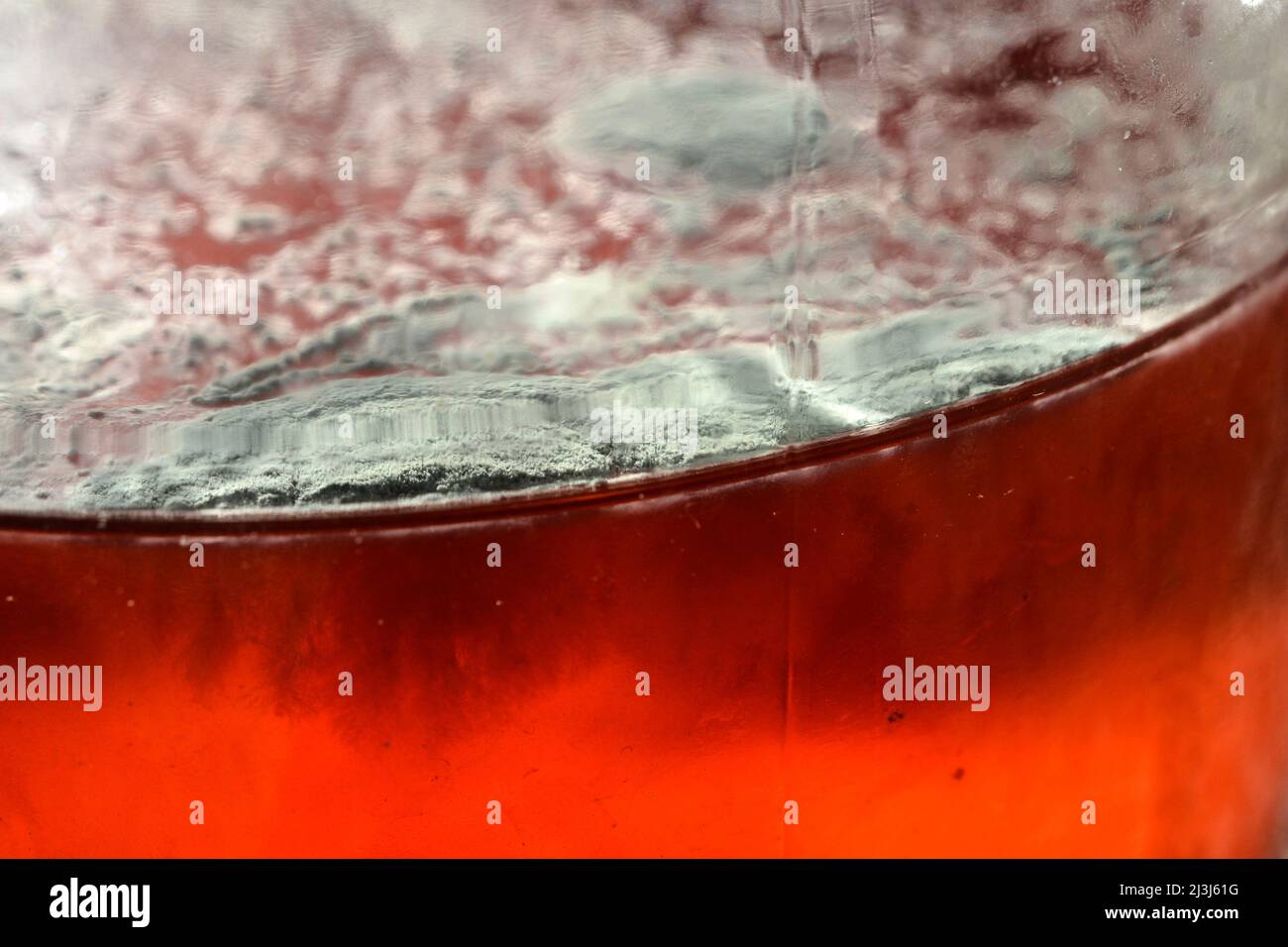 Mold on red liquid background, fungus background, bacteria on red ...