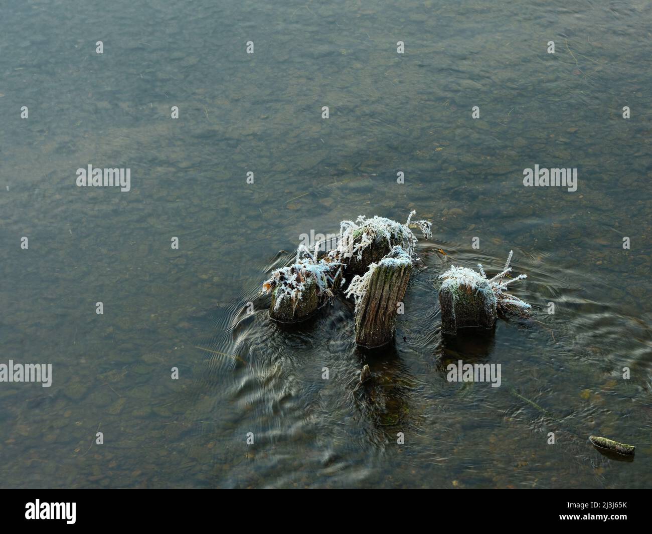 Europe, Germany, Hesse, Marburger Land, historical wooden ice deflector ...