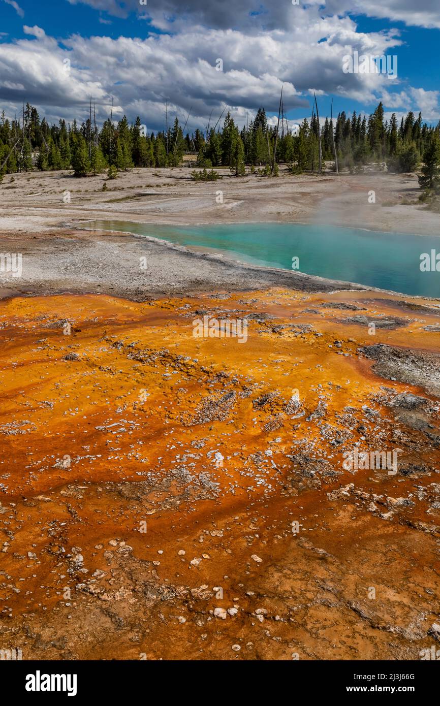 Black Pool with shore of orange thermophiles in the West Thumb Geyser ...