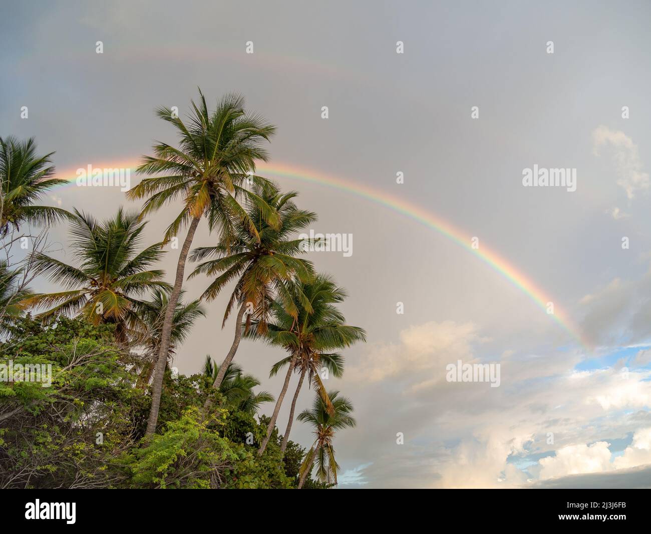 Tropical beach rainbow hi-res stock photography and images - Alamy