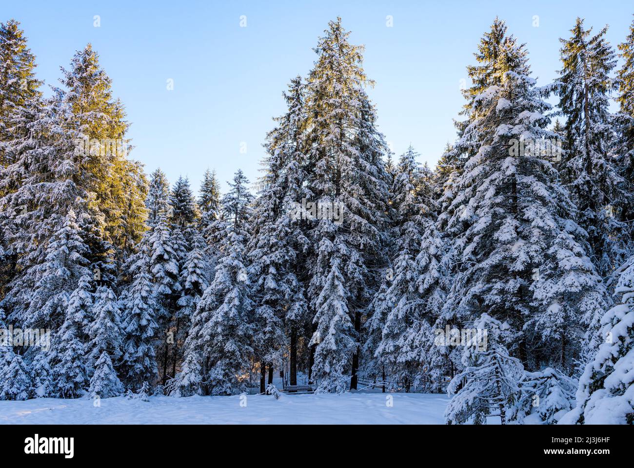 Loop trail at Spitzingsee in winter, Bavaria, Upper Bavaria, Germany ...